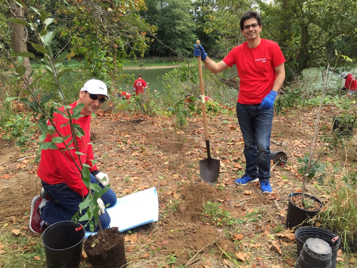 Lilly volunteers to plant 6,000 trees, plants at nature preserve near ...