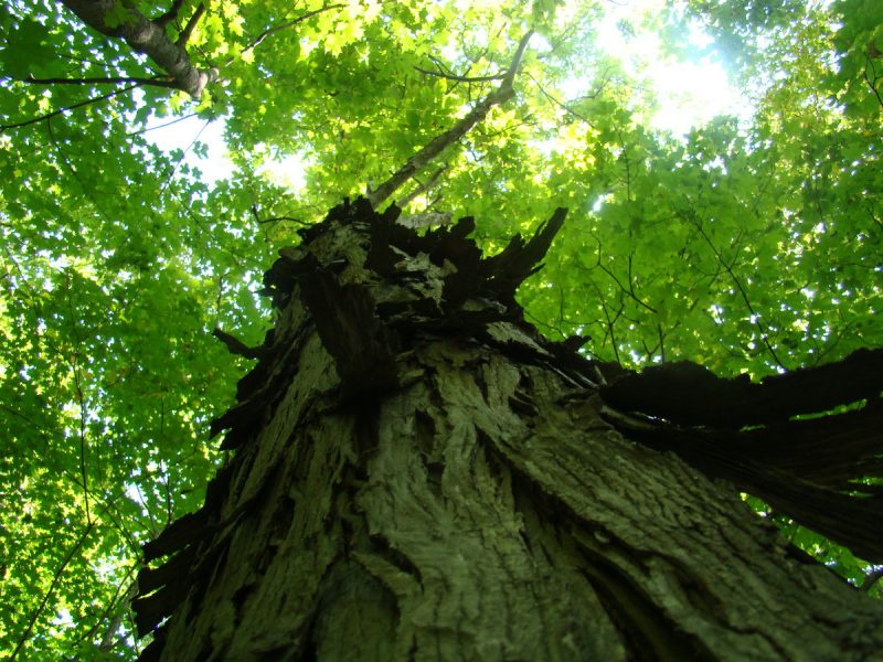 Places to Visit - Central Indiana Land Trust