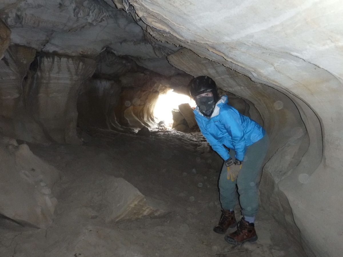 A Day in the Life with our Land Protection Manager - Central Indiana ...