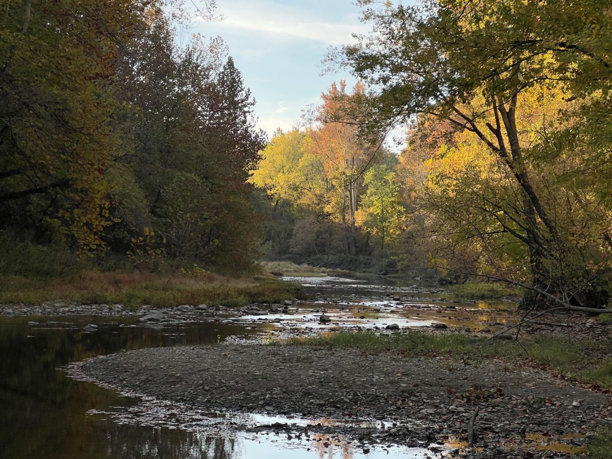 One Year at Big Walnut, a National Natural Landmark - Central Indiana ...