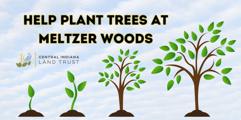Tree Planting at Meltzer Woods Nature Preserve Addition in Shelby ...