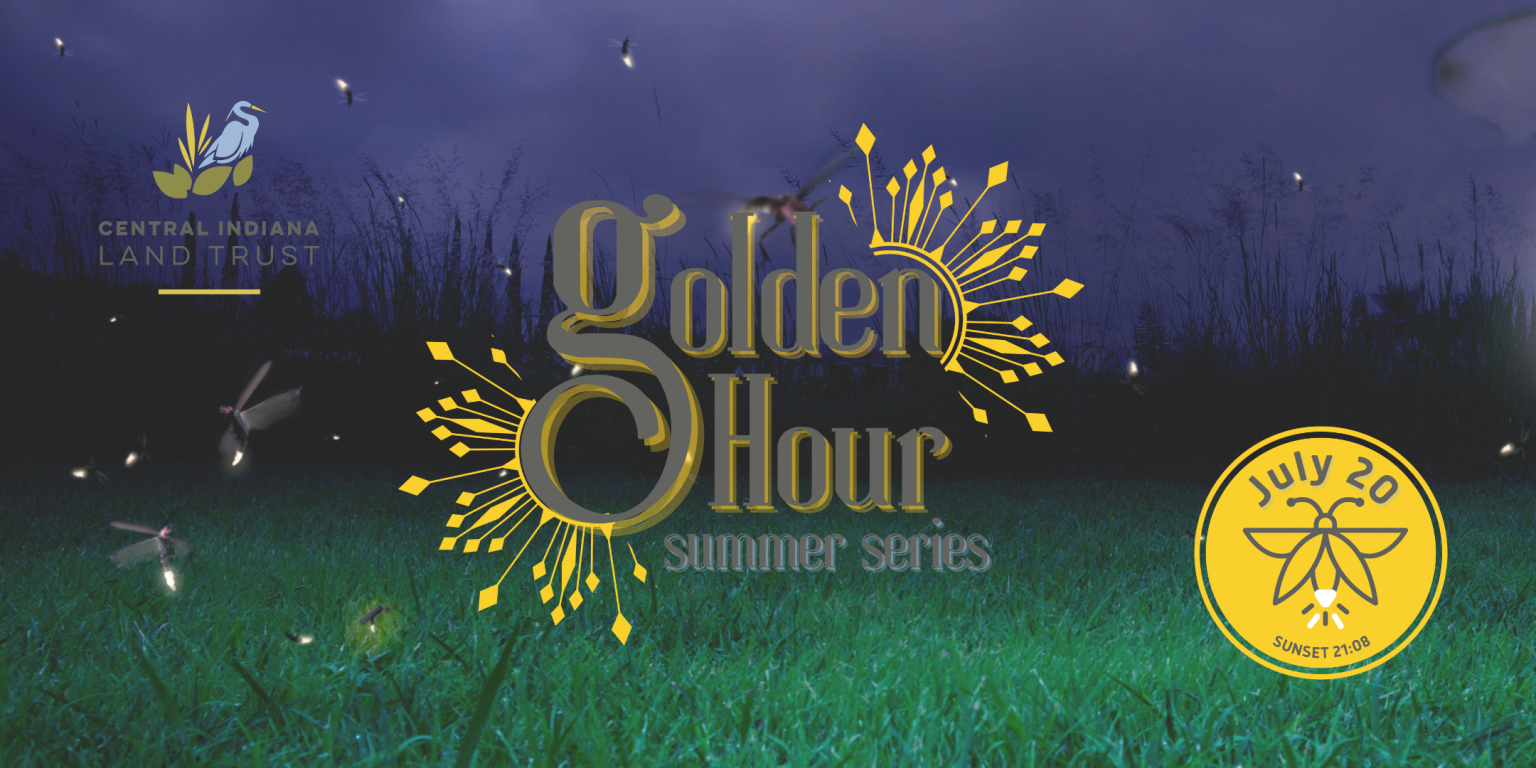 Where are the Fireflies? with Dr. Sérgio Henriques - Central Indiana ...