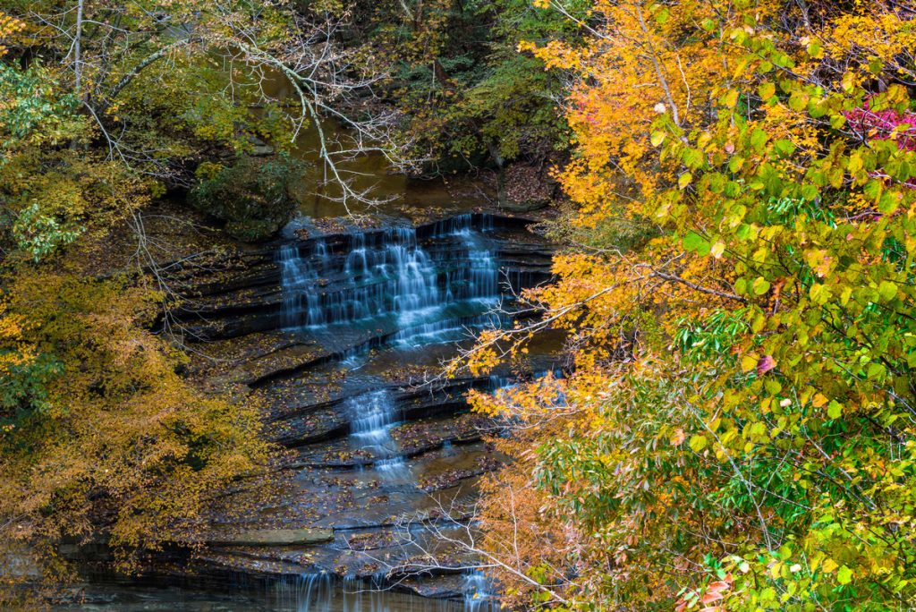 Explore Indiana’s Geologic Wonders and Majestic Forests | Central ...