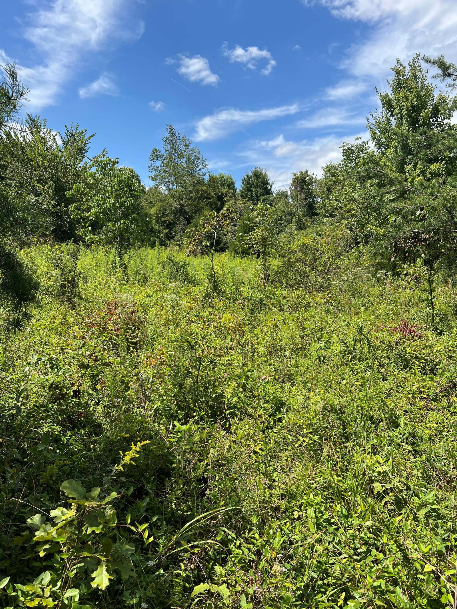 Land Trust buys 14 acres to expand Baseline Barrens Nature Preserve in ...