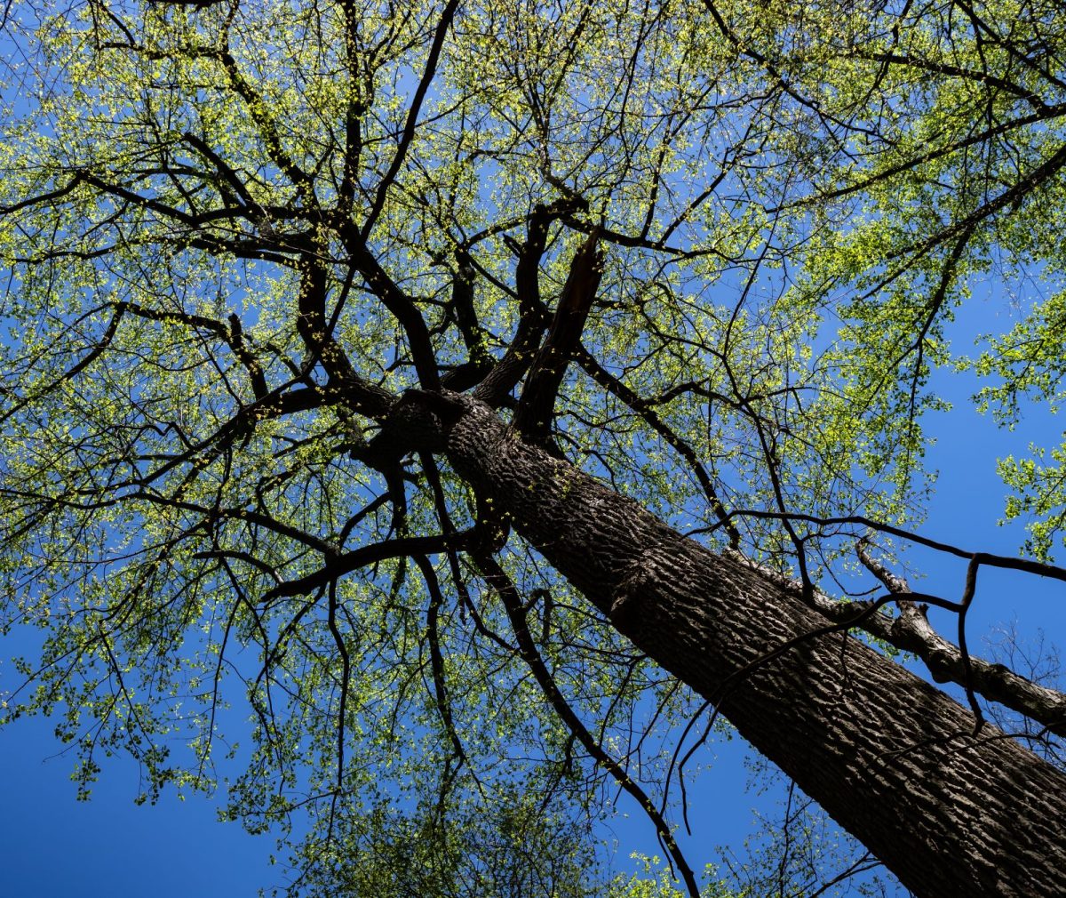 Laura Hare Preserve at Turtle Bend - Central Indiana Land Trust