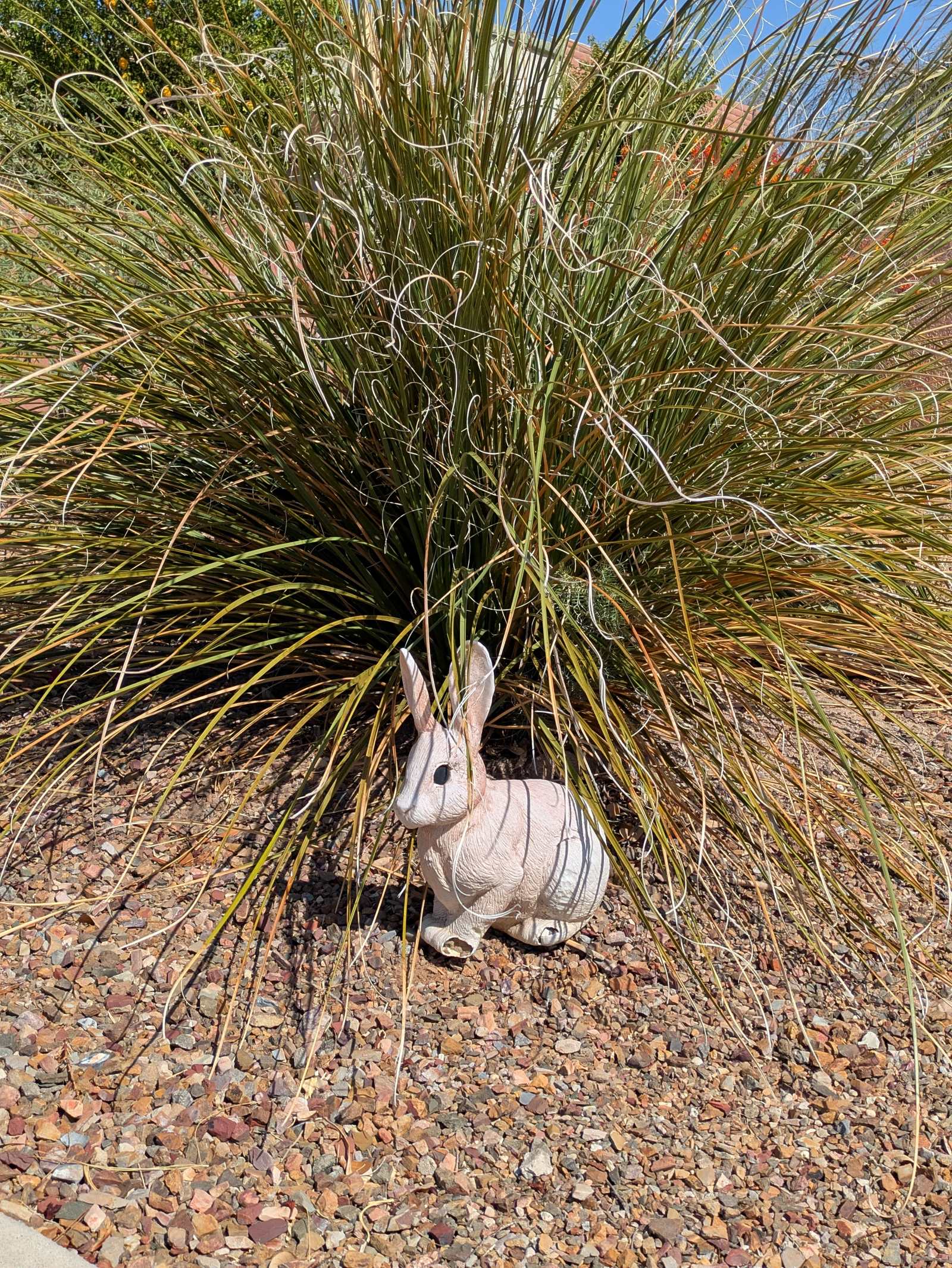 Reta Rutledge: Tales from her White Plastic Rabbit - Central Indiana ...